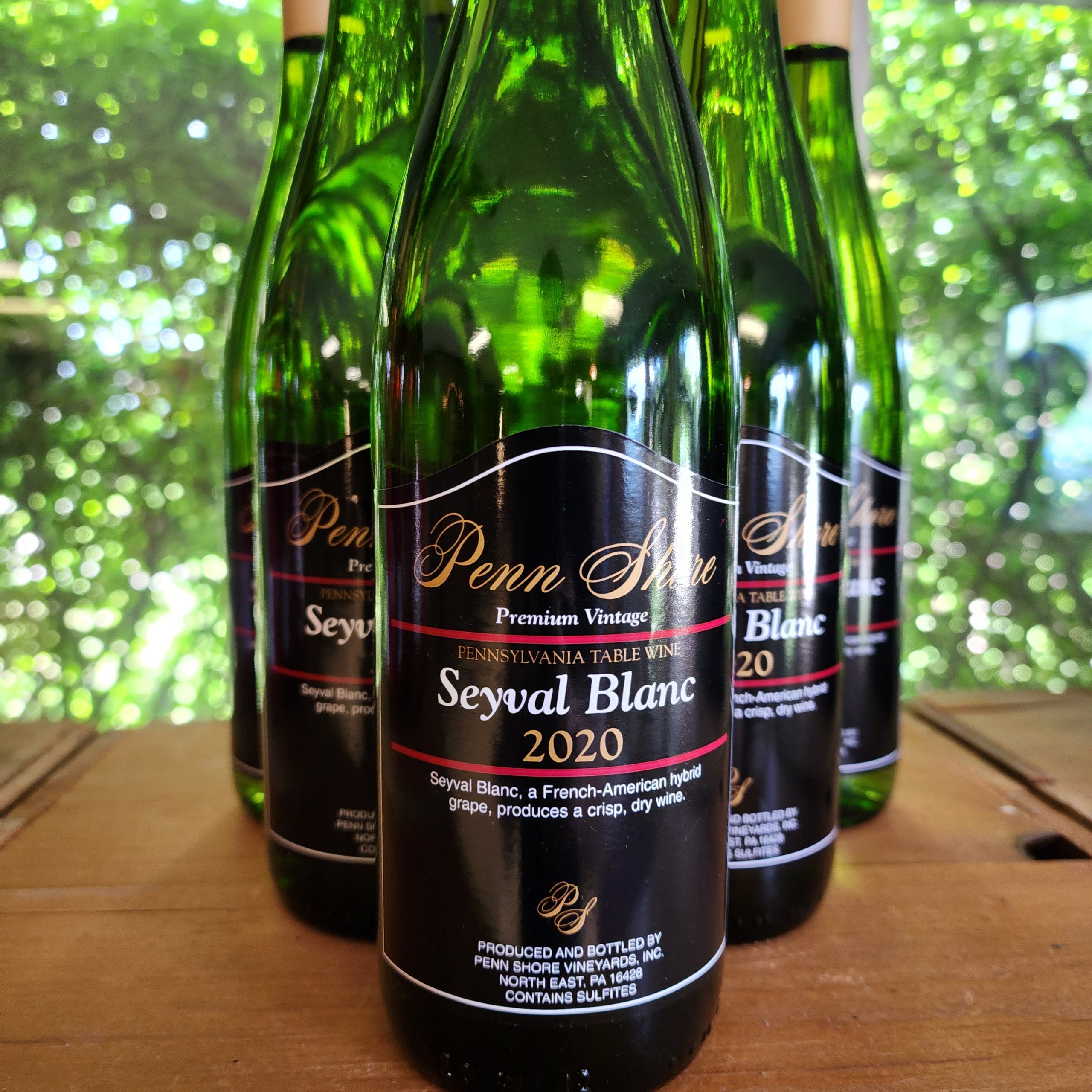 Seyval Blanc | Penn Shore Winery & Vineyards